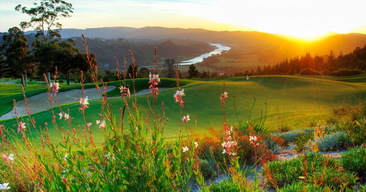 Simola Golf Estate, Garden Route & Western Cape - Book Golf Holidays ...